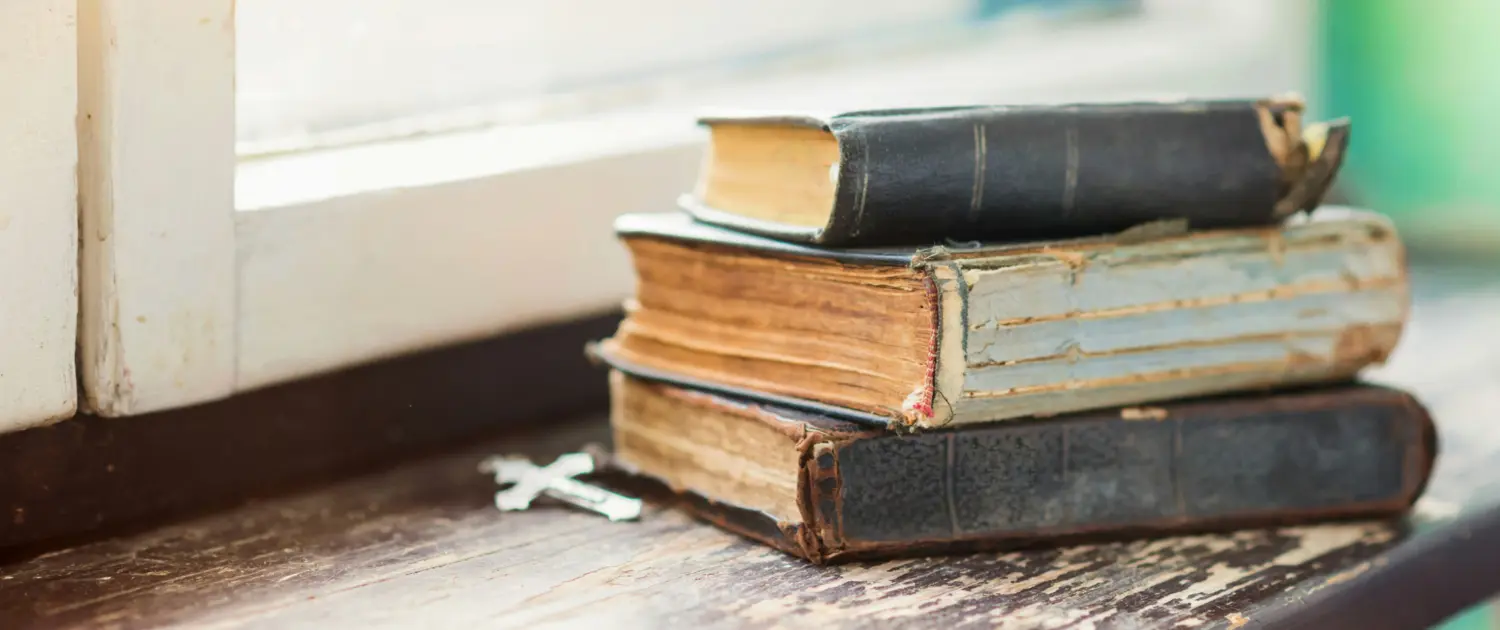 Did David read the Torah every day?